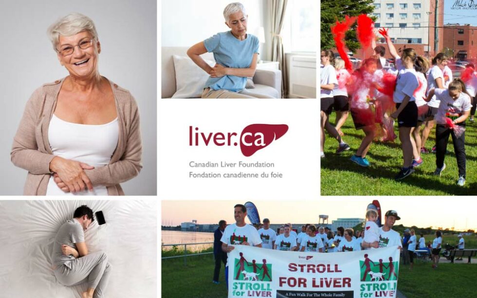 Spotlight on the Liver Foundation - Federated Health Charities