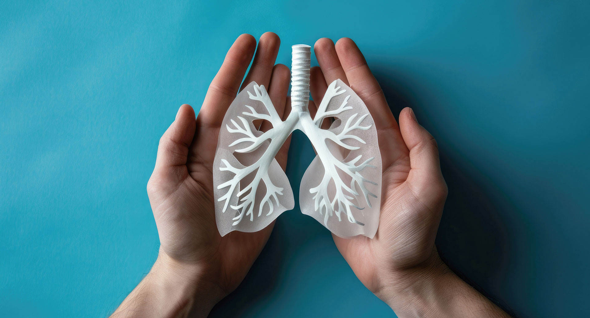 Spotlight on the Lung Health Foundation - Federated Health Charities