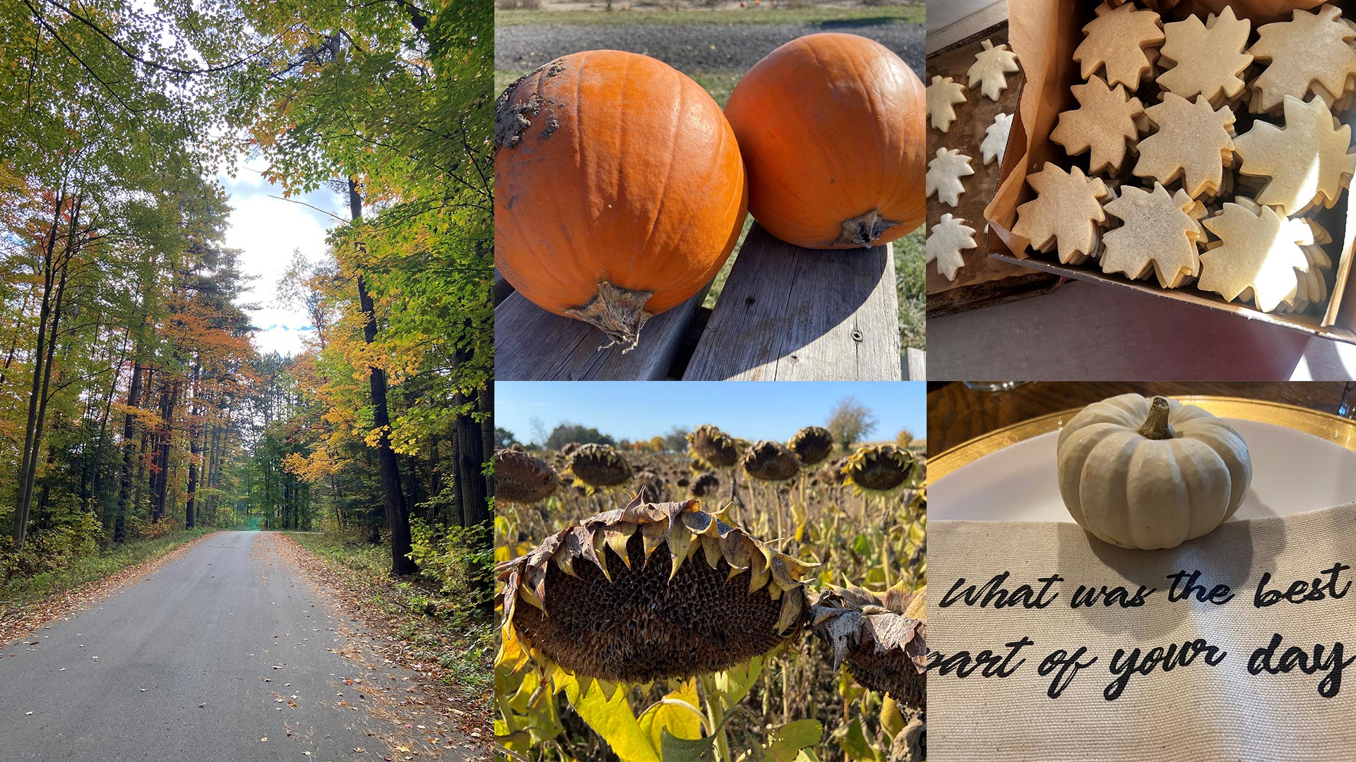 Fall into Wellness with Seasonal Tips from our Charity Partners ...